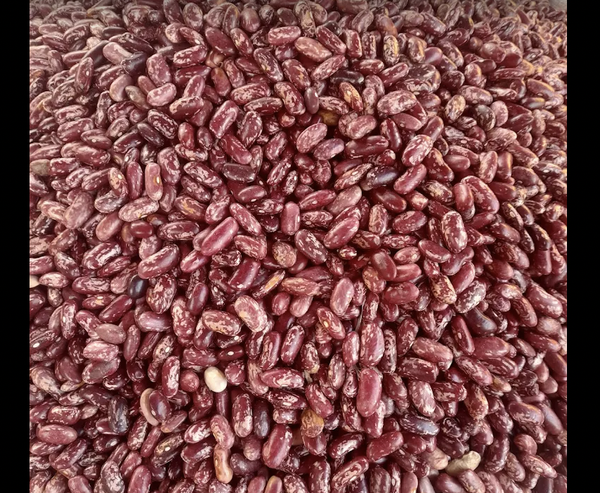 Best Beans in Kampala